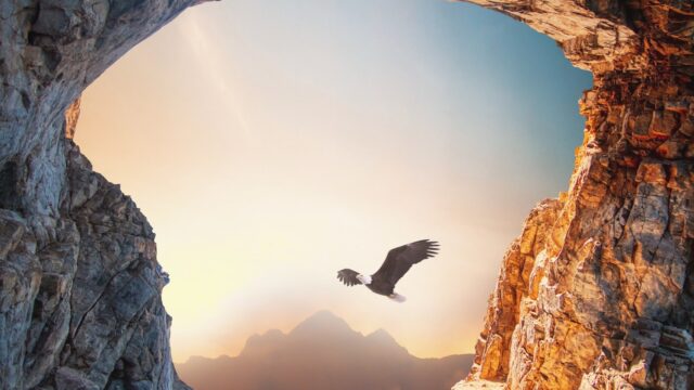 禅の全貌：歴史・教え・実践。現代を生き抜く智慧と心の探求。VIBRATION WORLD | 現代陰陽師 | スピリチュアルサイト