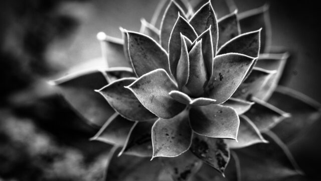 「死ぬのが怖い」のはなぜ？その恐怖を乗り越え、幸福に生きるヒント - VIBRATION WORLD | 現代陰陽師 | スピリチュアルサイト