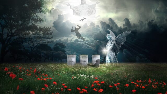 VIBRATION WORLD - The Exorcist